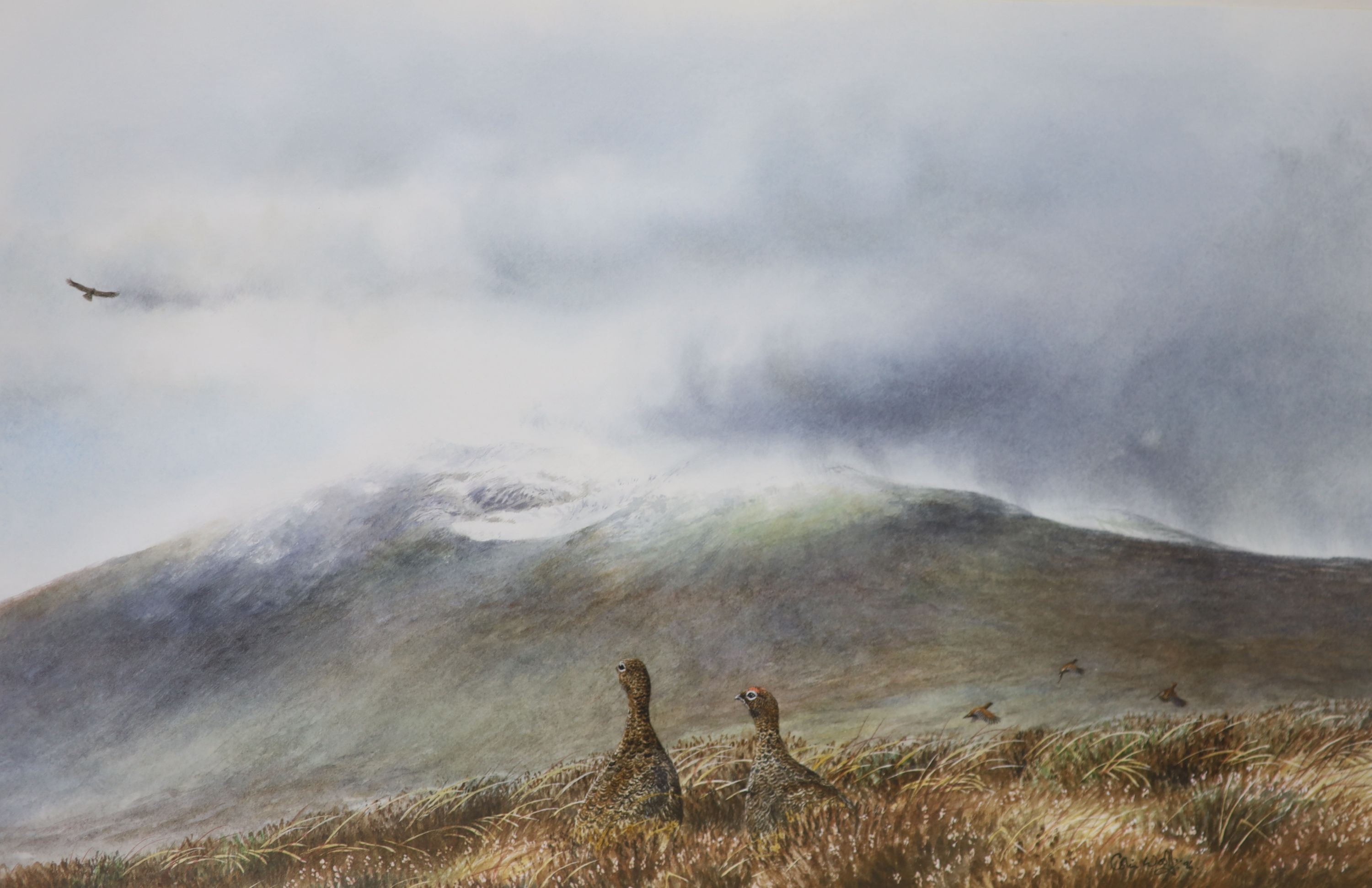 Colin Woolf | Highland landscape with grouse in the foreground and a ...