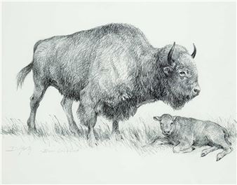 Dwayne Harty | 15 Artworks at Auction | MutualArt