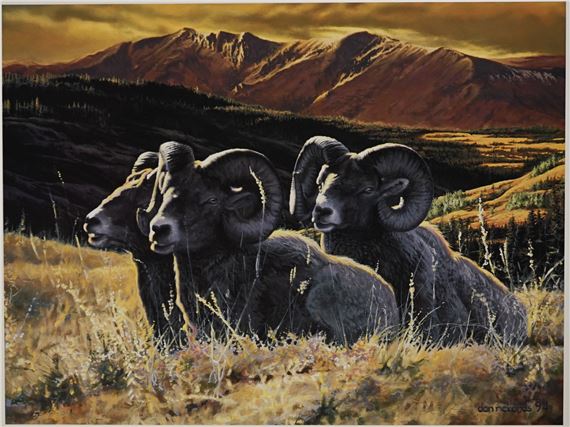 Dan Rickards | 5 Artworks at Auction | MutualArt