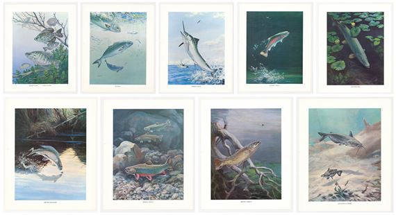 Bob Hines | Colorful fish prints | MutualArt