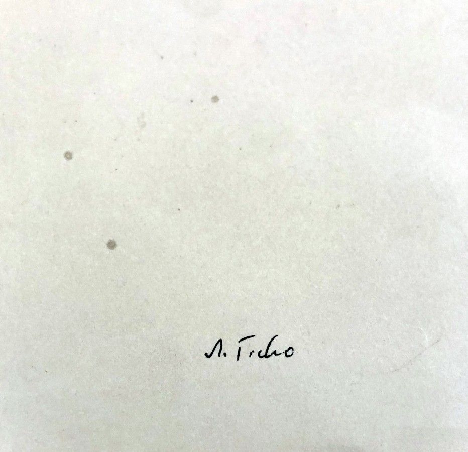 Anna Ticho | Flowers | MutualArt