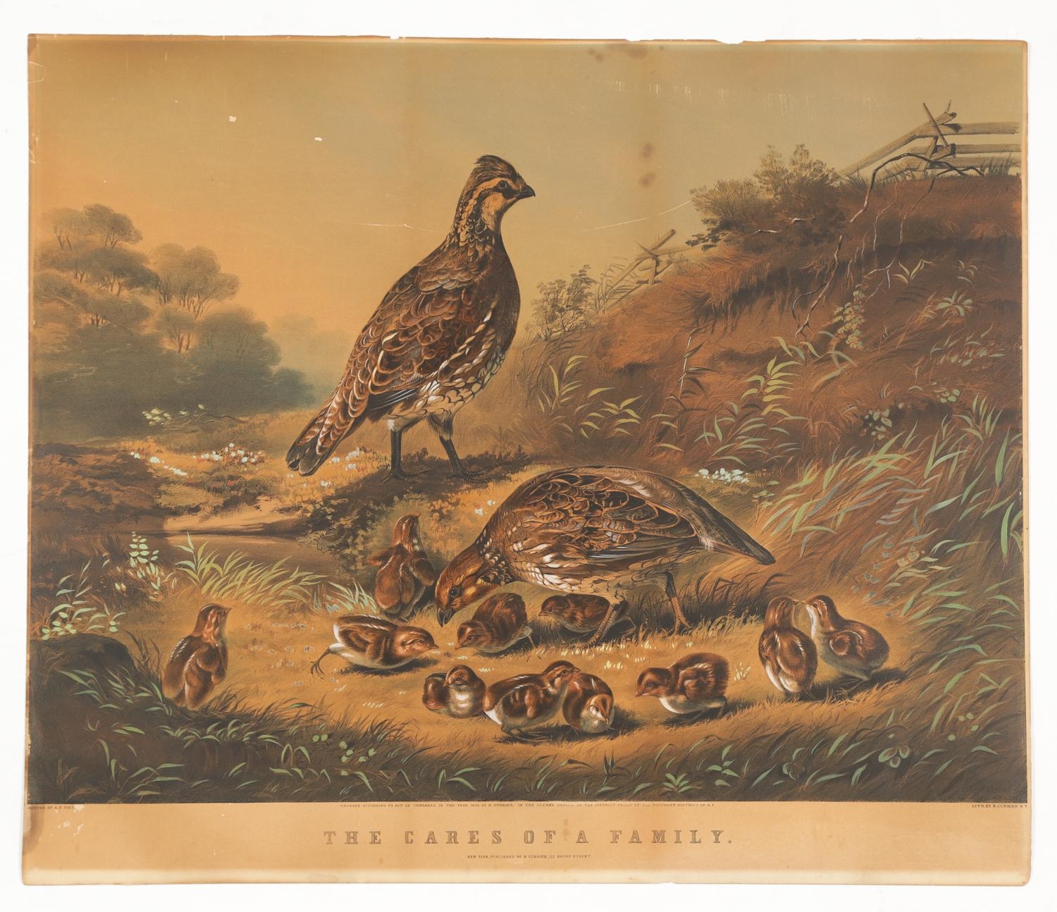 Arthur Fitzwilliam Tait | The Cares of a Family (1856) | MutualArt