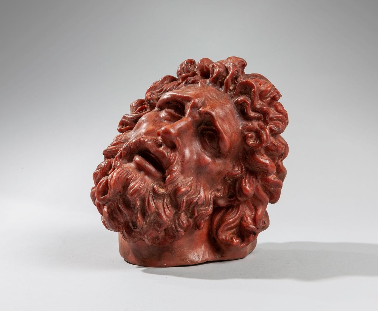 Laocoon Head