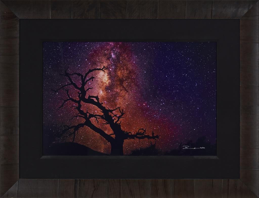 Peter Lik | 'Tree of the Universe' | MutualArt