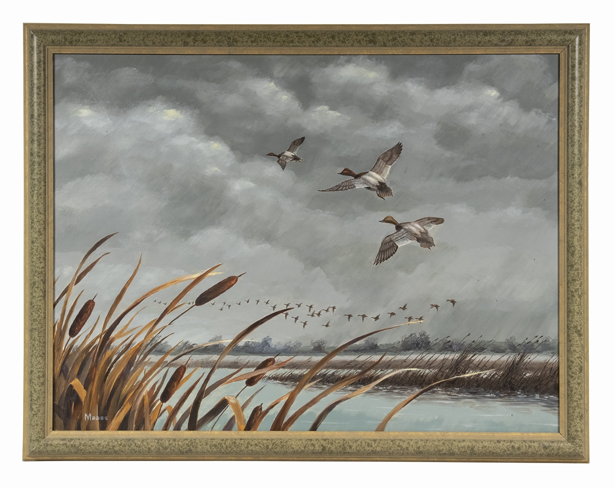 David Maass | Canvasback Ducks Taking Flight | MutualArt