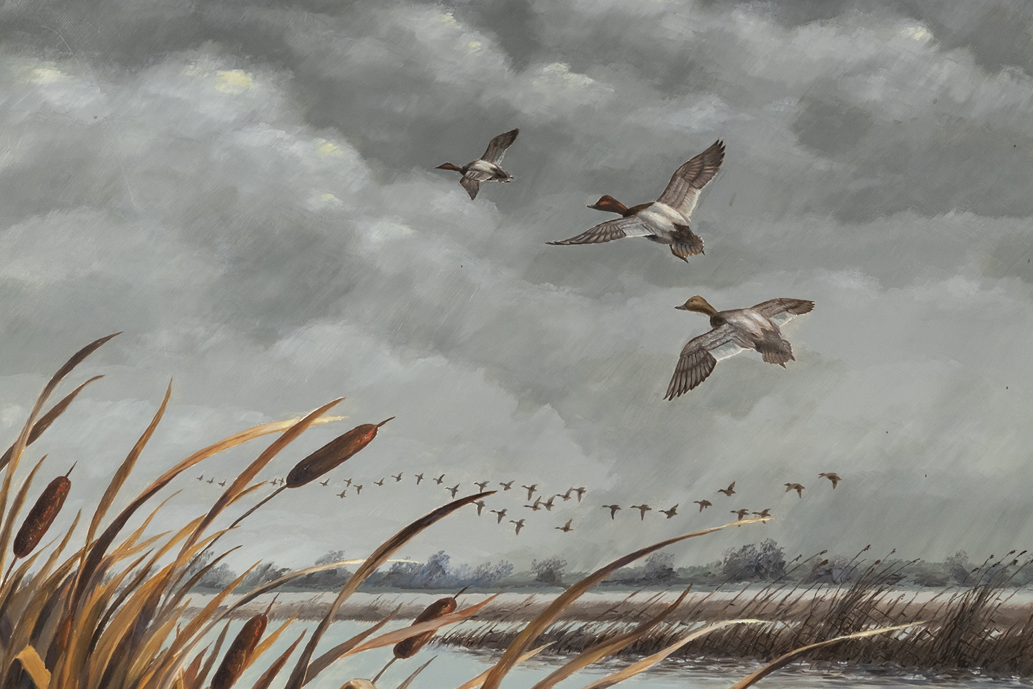 David Maass | Canvasback Ducks Taking Flight | MutualArt