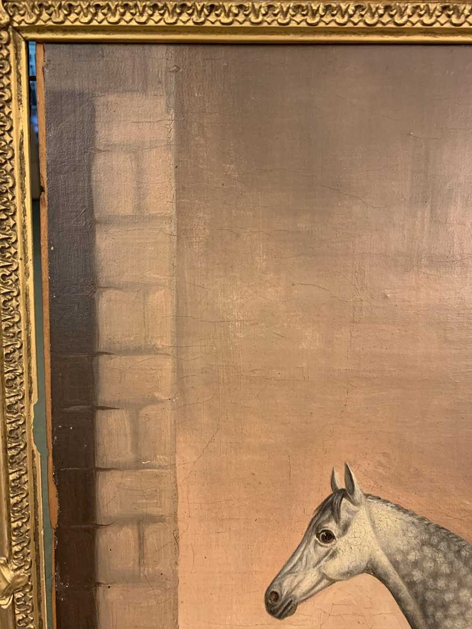 James Loder | Portrait of a grey horse in a courtyard | MutualArt