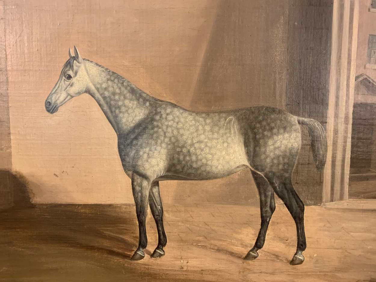 James Loder | Portrait of a grey horse in a courtyard | MutualArt