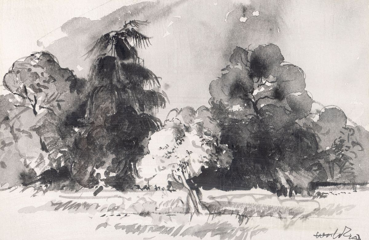 Wiktor Zin | DRZEWA W PARKU | MutualArt