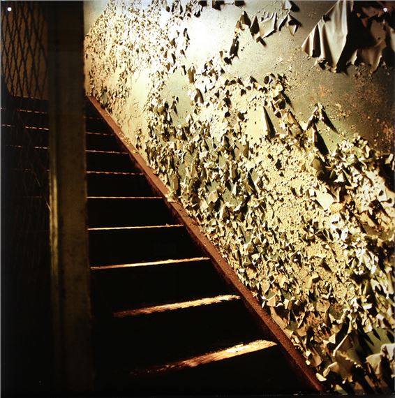 Lisa Rinzler | Biography