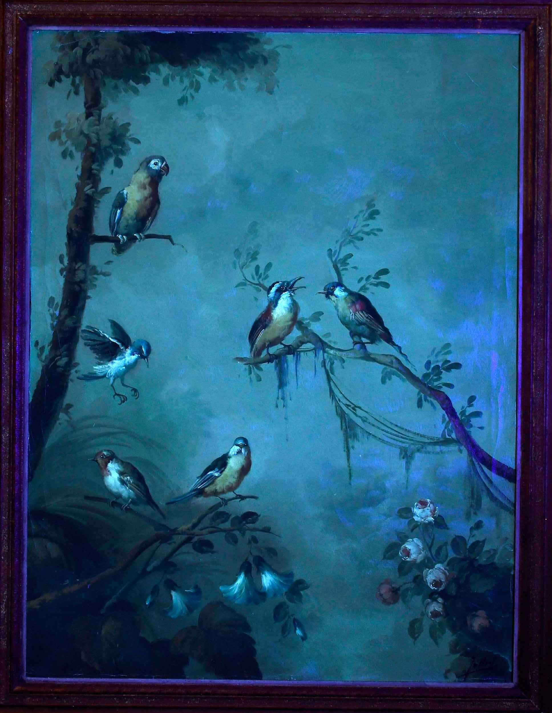 Ira Monte | Tropical Sun Birds | MutualArt