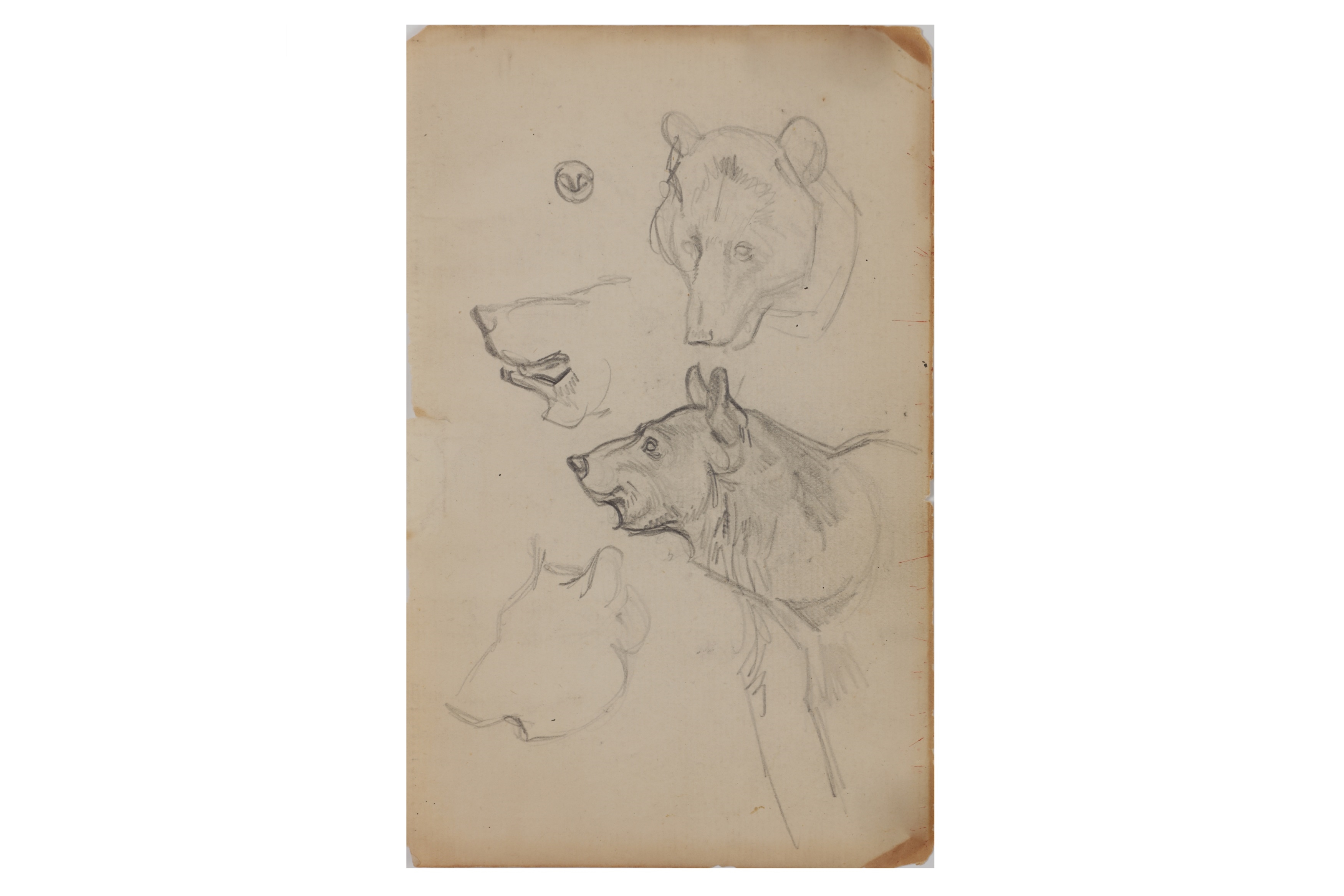 Henry Matthew Brock | A large collection of sketches | MutualArt