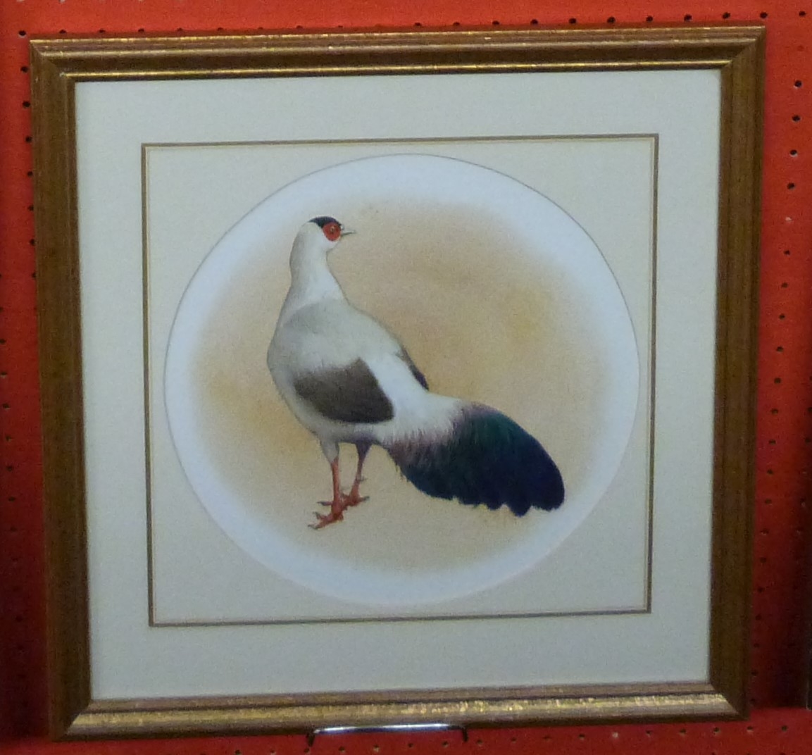 J. C. Harrison | Pheasant Study | MutualArt