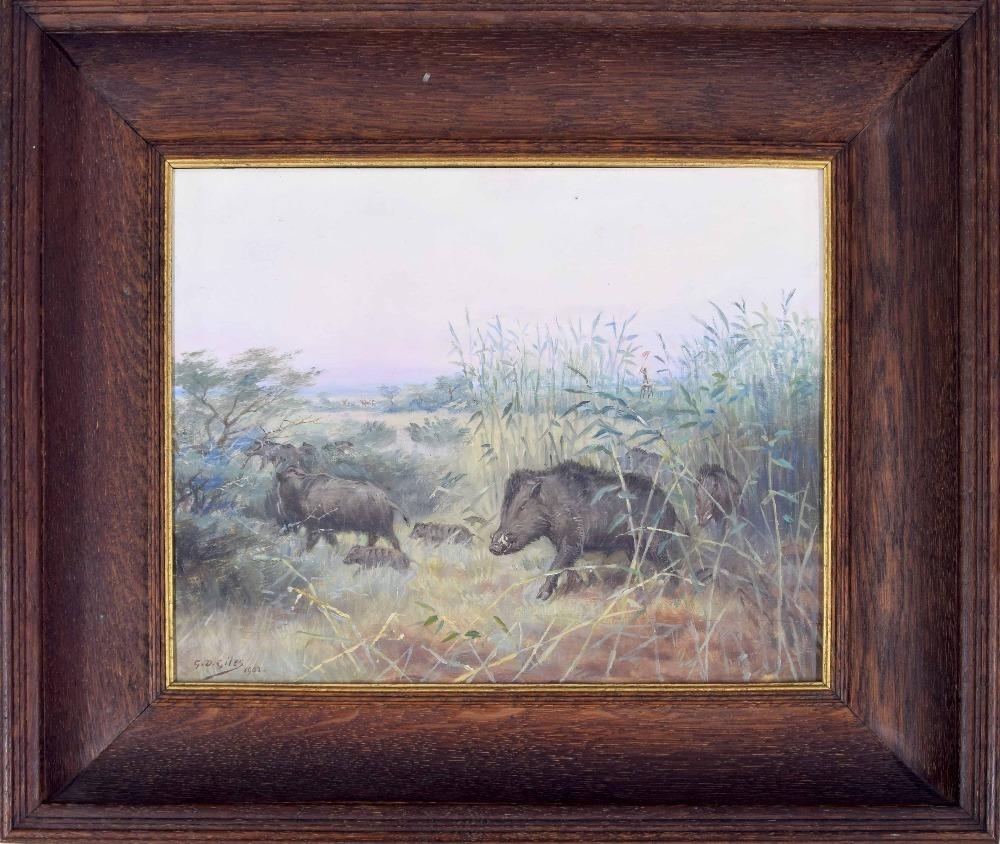 Godfrey Douglas Giles | Wild boar and their young in an Indian ...
