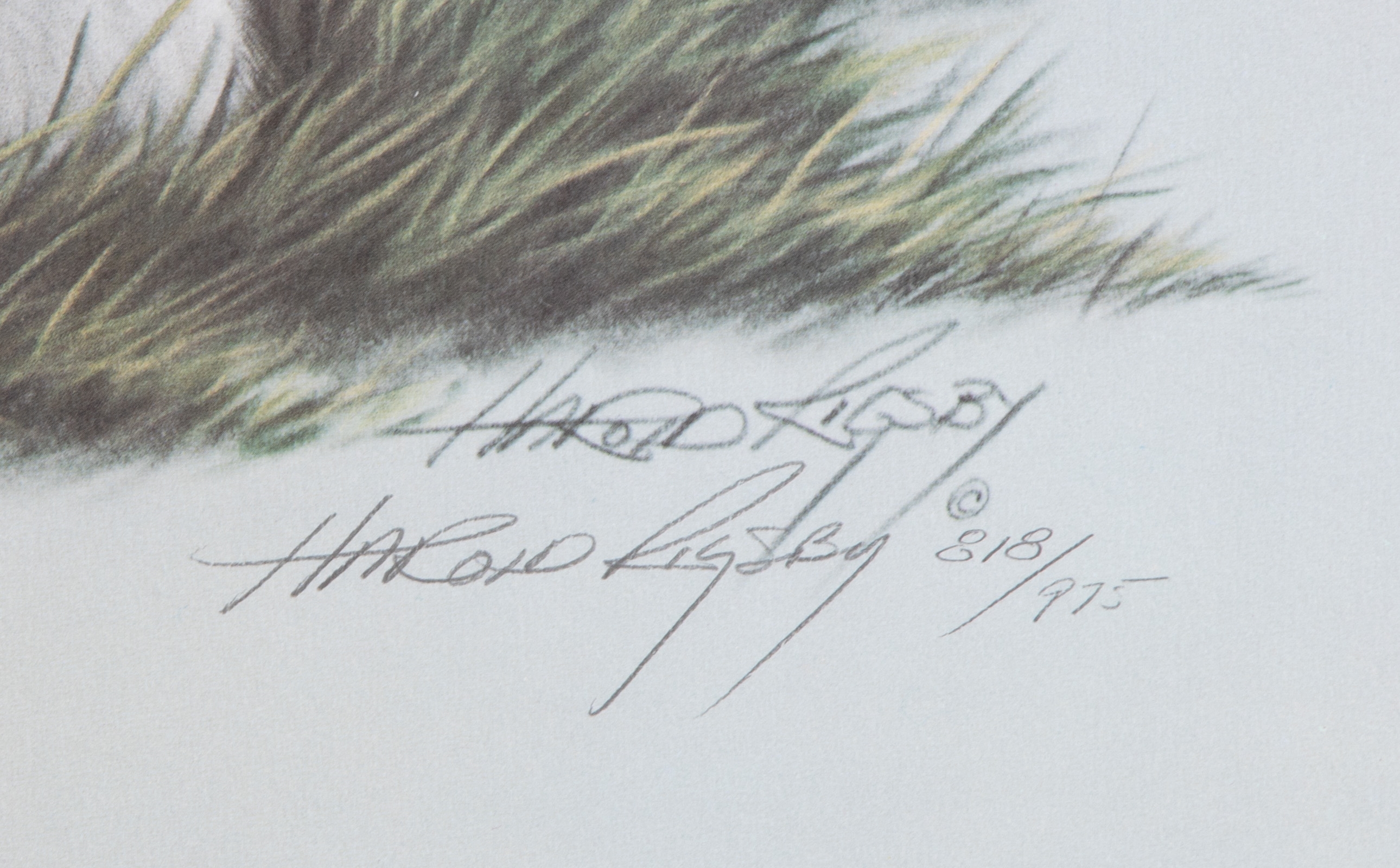 Harold Rigsby | White Bengal Tiger Cub | MutualArt