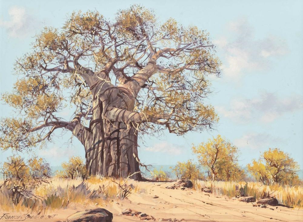 Francois Badenhorst | Baobab | MutualArt