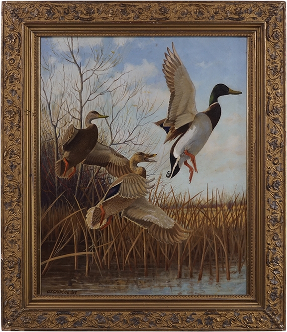 Owen J. Gromme | Pair of Mallards and Black Duck Rising, Horicon Marsh ...