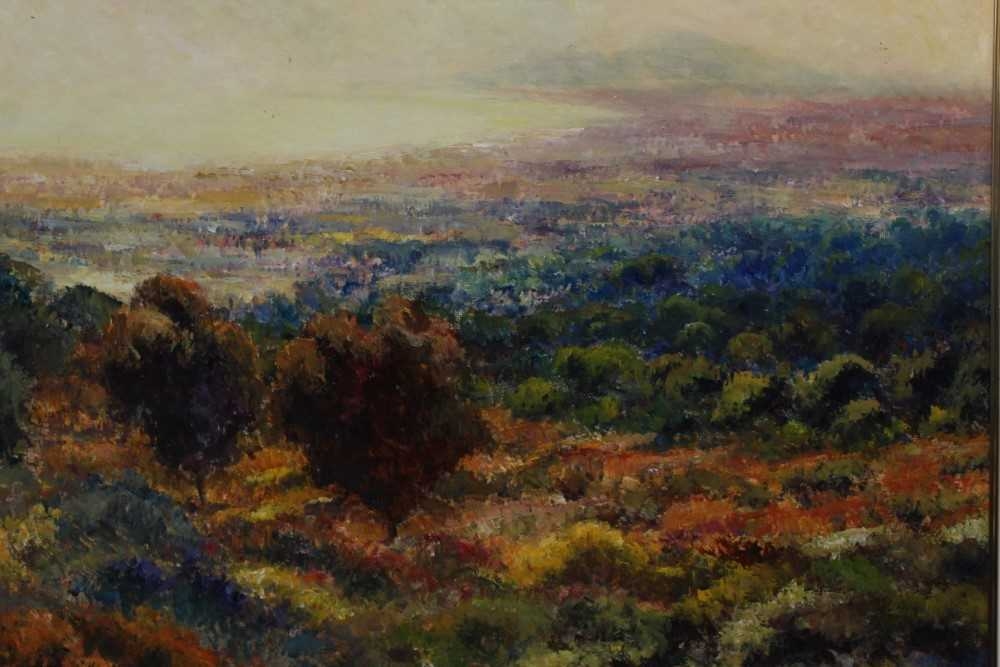 Peter Jander | Extensive Landscape | MutualArt