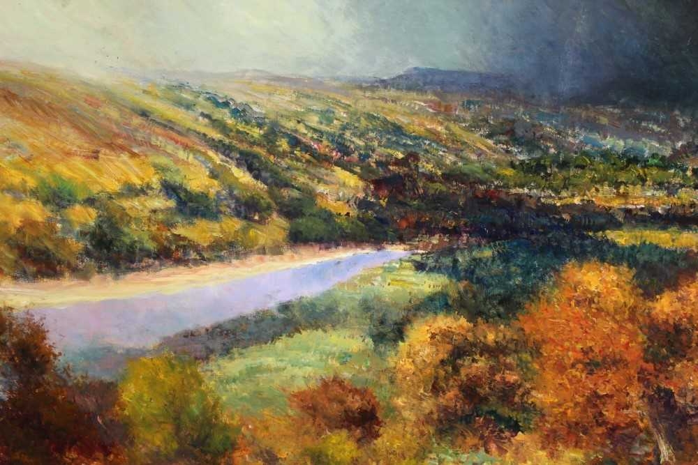 Peter Jander | Extensive Landscape | MutualArt