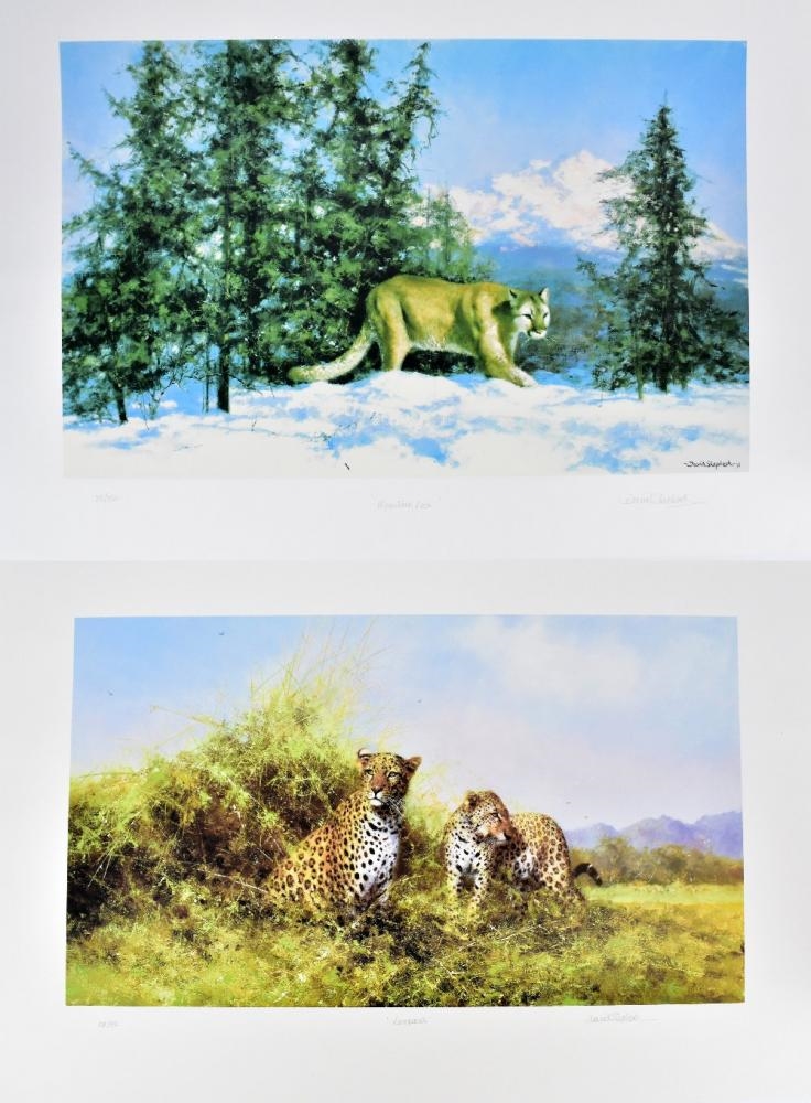 David Shepherd | Leopards; Mountain Lion | MutualArt