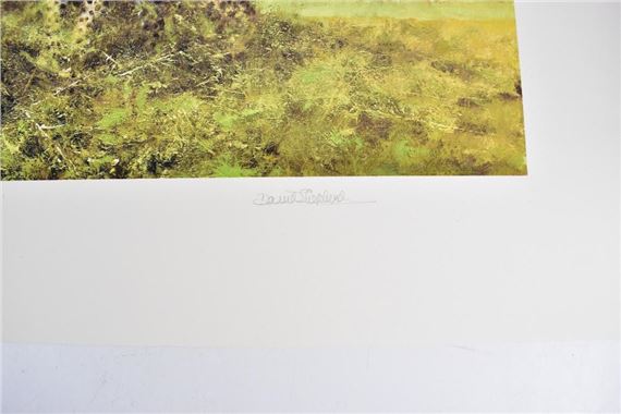 David Shepherd | Leopards; Mountain Lion | MutualArt