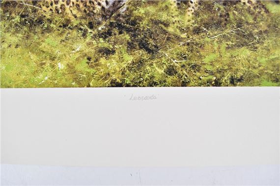 David Shepherd | Leopards; Mountain Lion | MutualArt
