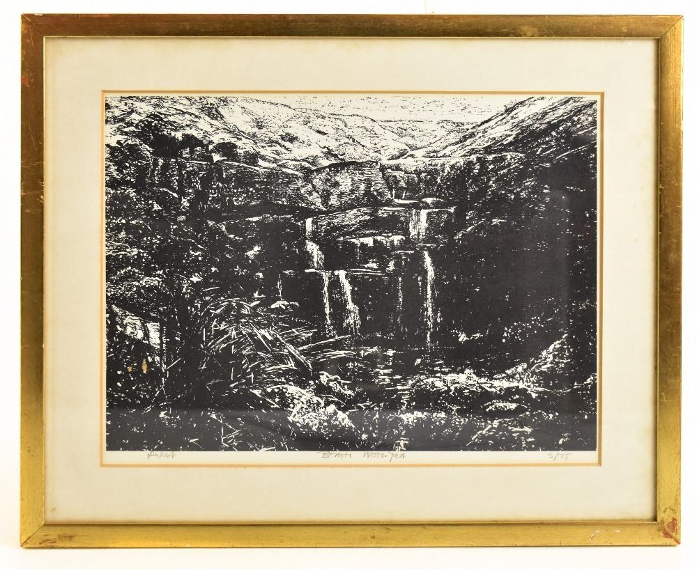 David Wild | Bronte Waterfall | MutualArt