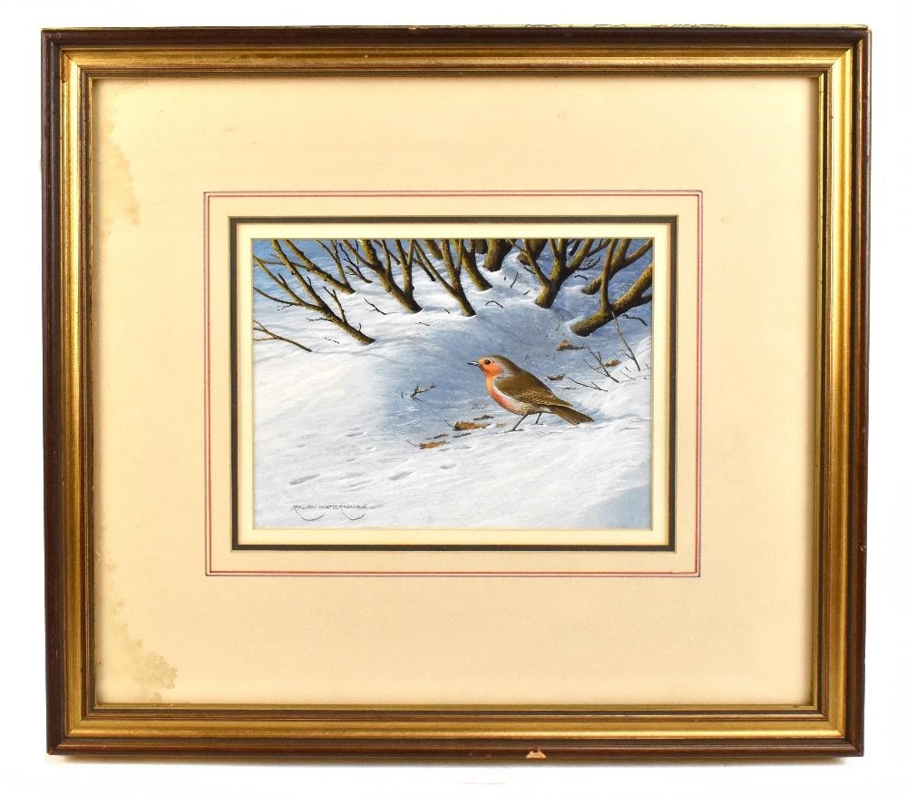 Ralph Waterhouse | study of a robin in the snow | MutualArt
