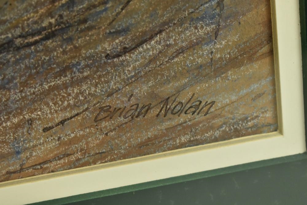 Brian Nolan | still life study of flowers | MutualArt