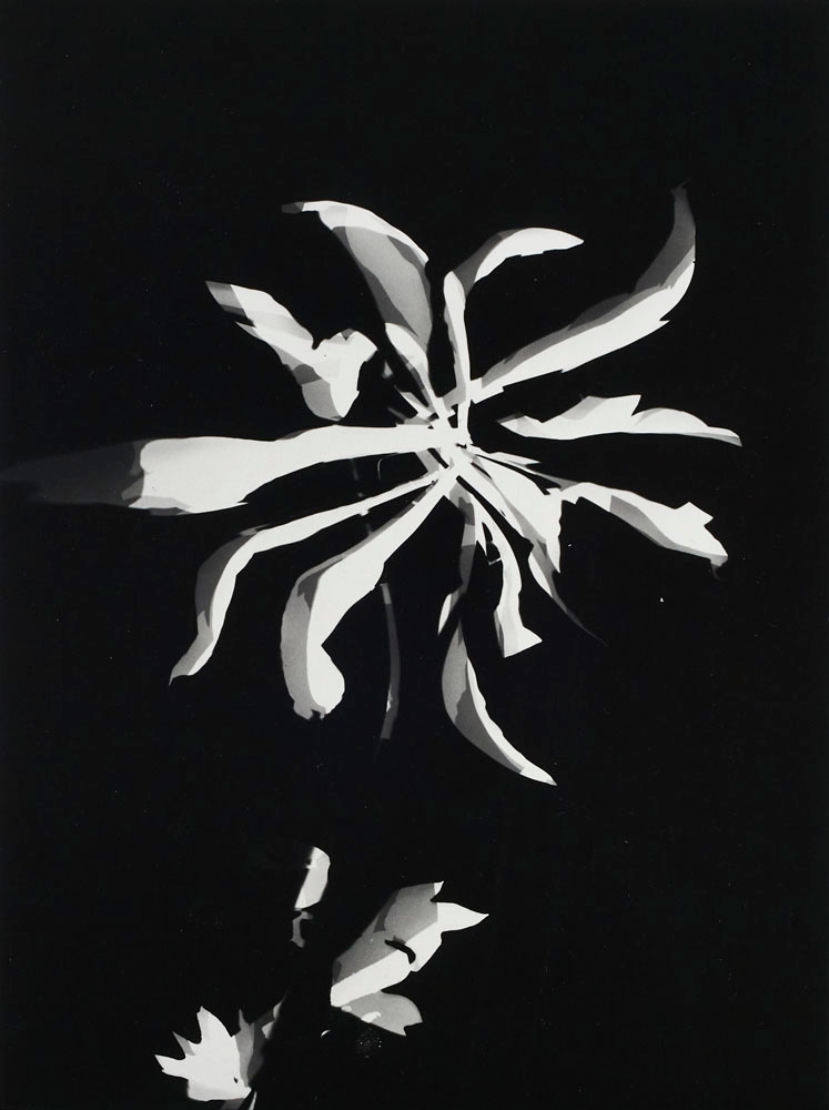 Laszlo Moholy Nagy Photograms