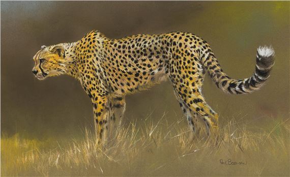 Paul Bosman | Standing Cheetah | MutualArt
