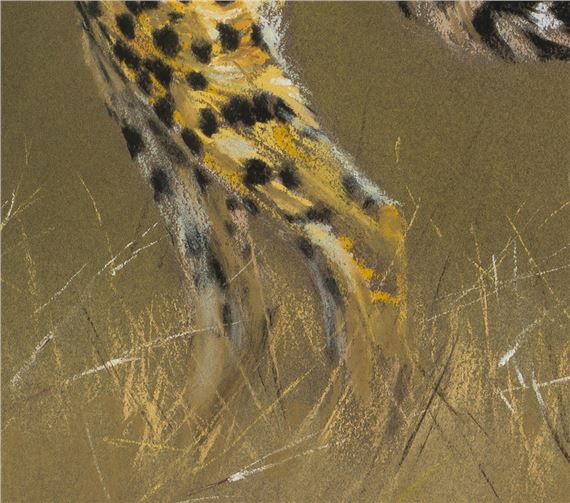 Paul Bosman | Standing Cheetah | MutualArt