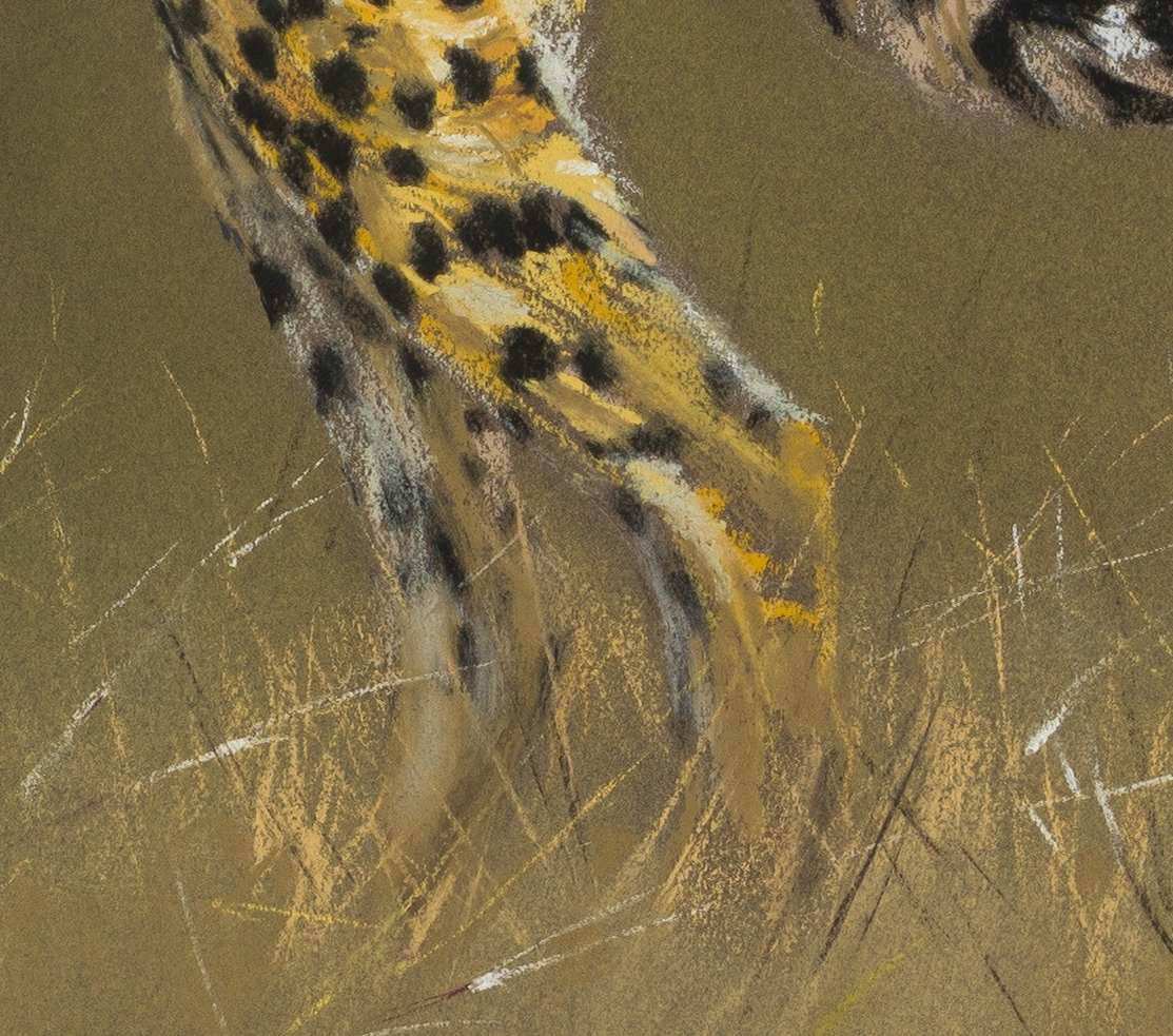 Paul Bosman | Standing Cheetah | MutualArt