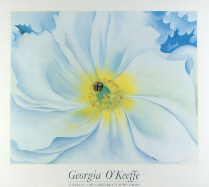 Georgia O Keeffe Paintings Flowers | Best Flower Site
