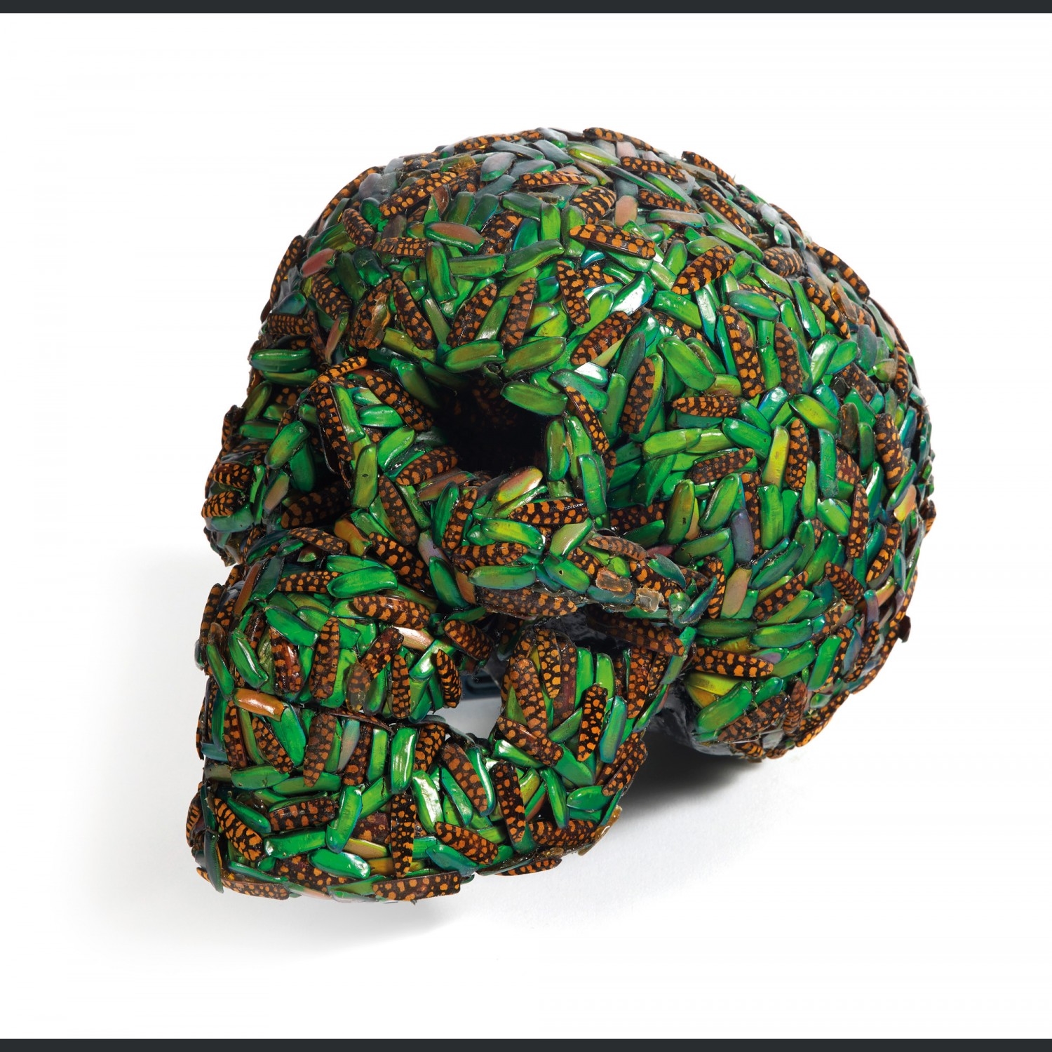 Jan Fabre | Crâne | MutualArt