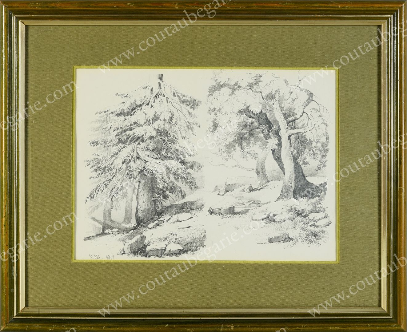 Ivan Shishkin | Study of two trees in a forest (1889) | MutualArt