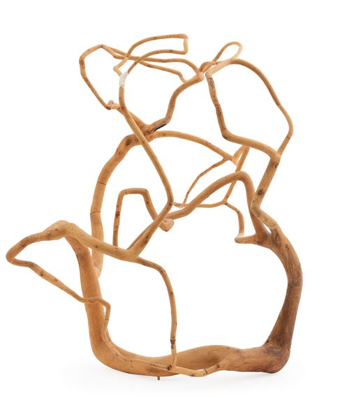 Bart de Zutter | Biography