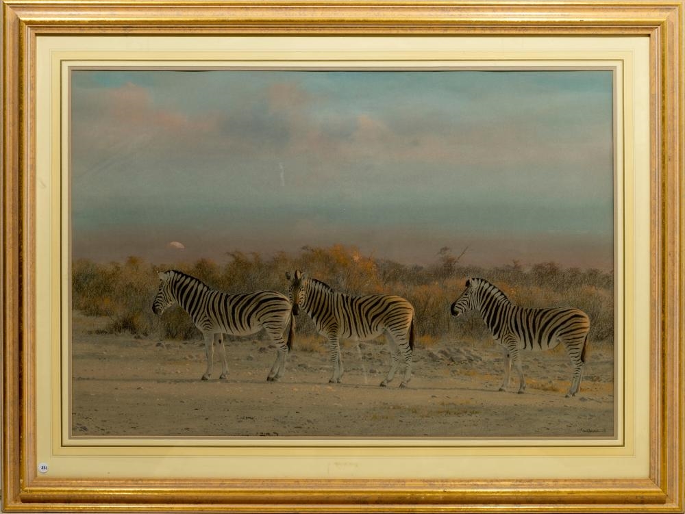 Kim Donaldson | Zebra Full Moon Over Etosha | MutualArt