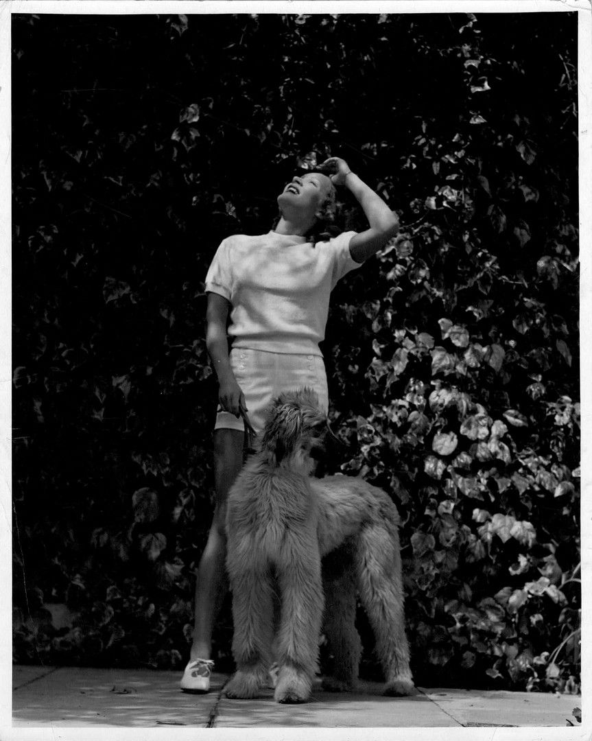 Eugene Robert Richee | MARLENE DIETRICH (1935) | MutualArt