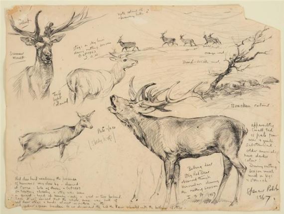 Arthur Spencer Roberts | Study of a herd of Red Deer (1967) | MutualArt