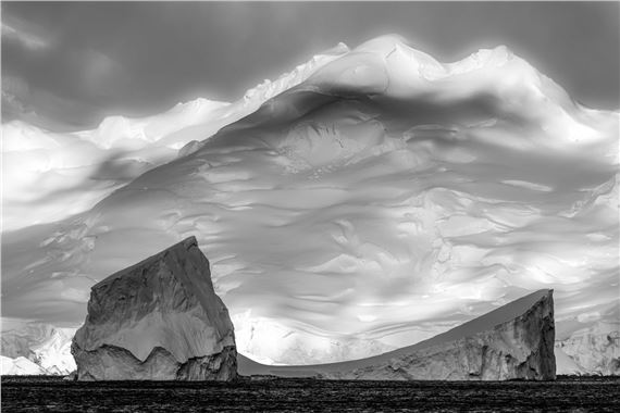 Chris Packham | Performance at Auction | MutualArt