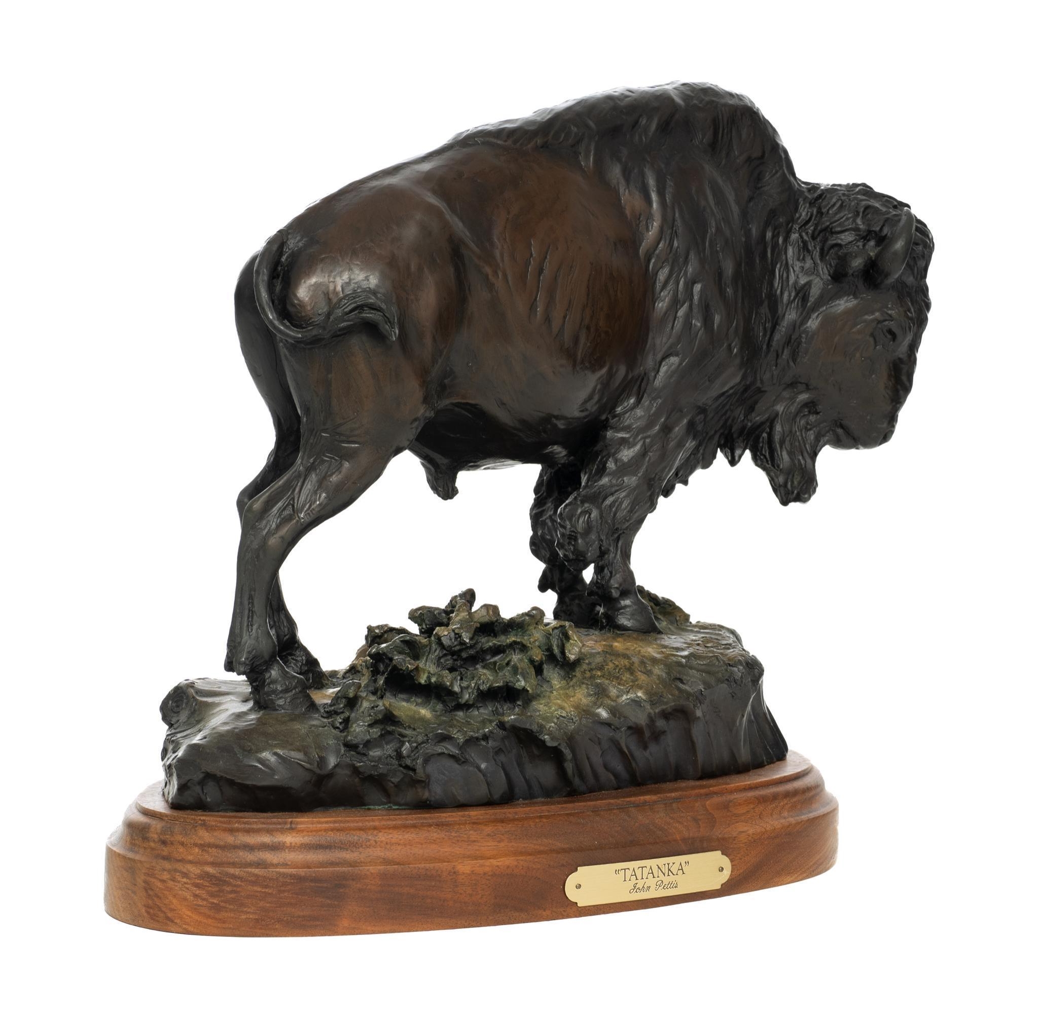 John Pettis | Tatanka (1999) | MutualArt