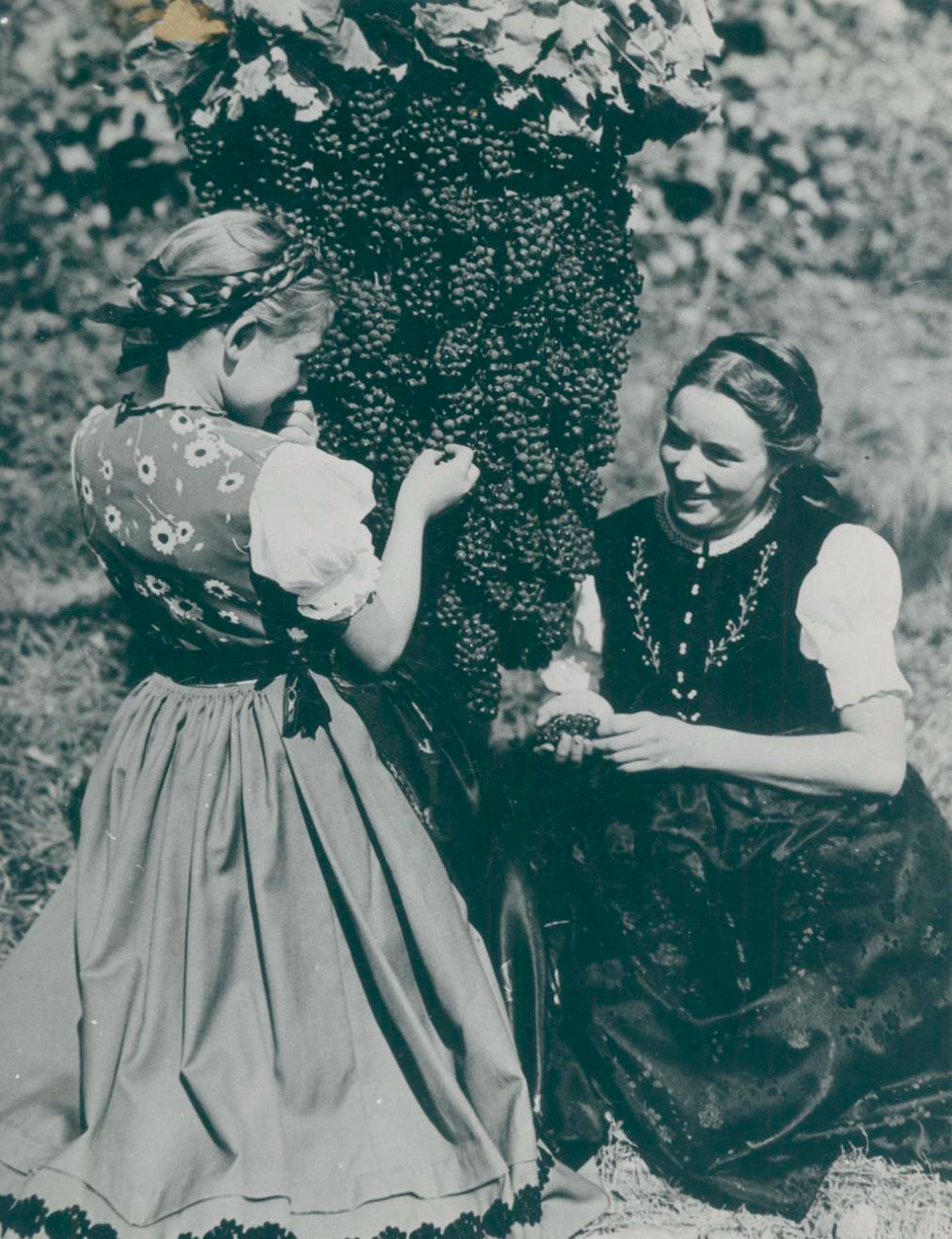Hans Retzlaff | Schwarzwald (1950) | MutualArt