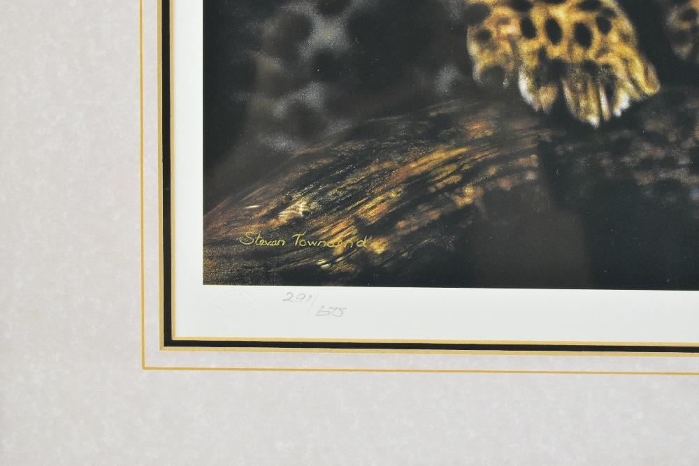 Steven Townsend | 'Bengal Tiger - The Cameo Collection', numbered 986/ ...