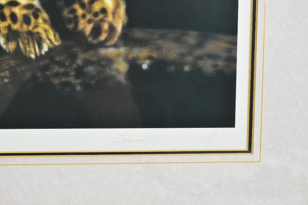 Steven Townsend | 'Bengal Tiger - The Cameo Collection', numbered 986/ ...