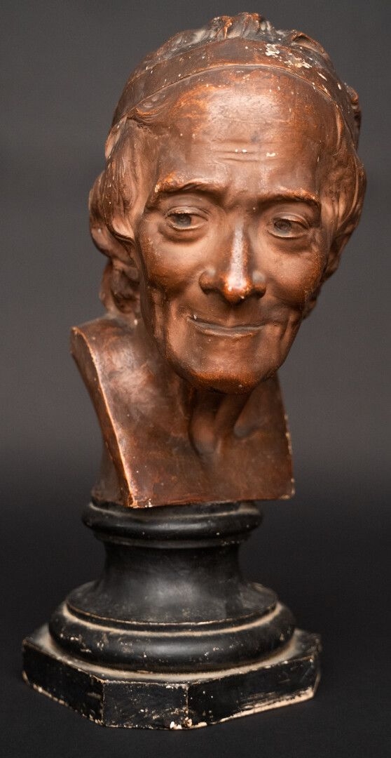 Jean-Antoine Houdon | Bust of Voltaire | MutualArt