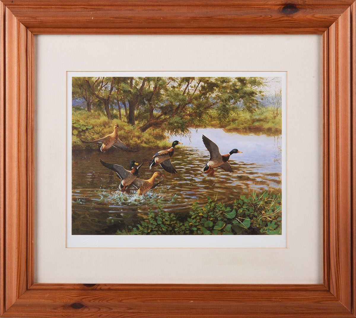 Julian Friers | MALARDS | MutualArt