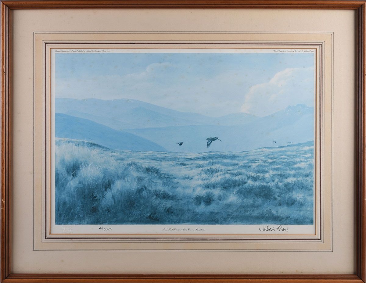 Julian Friers | IRISH RED GROUSE IN THE MOURNE MOUNTAINS | MutualArt
