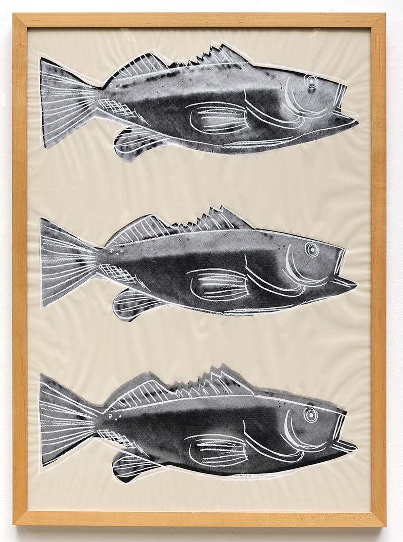 Andy Warhol | Fish (1983) | MutualArt