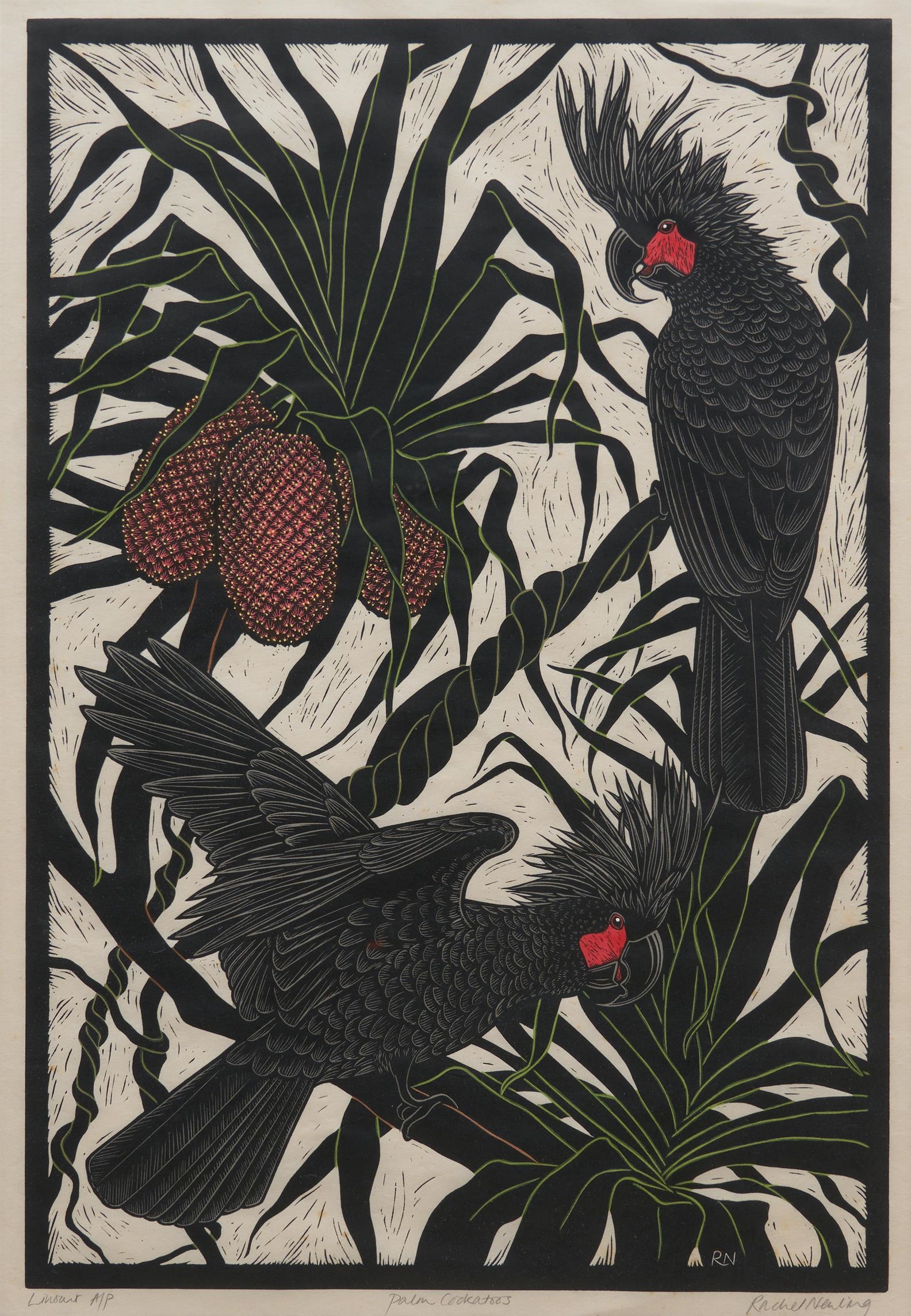 Rachel Newling | Palm Cockatoos | MutualArt